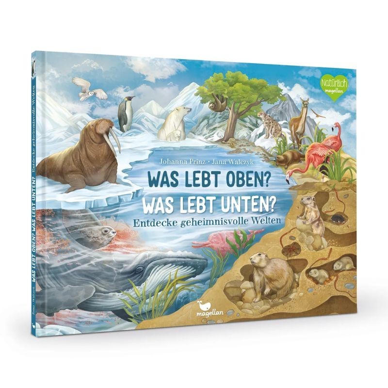 Was lebt oben? Was lebt unten? von Johanna Prinz